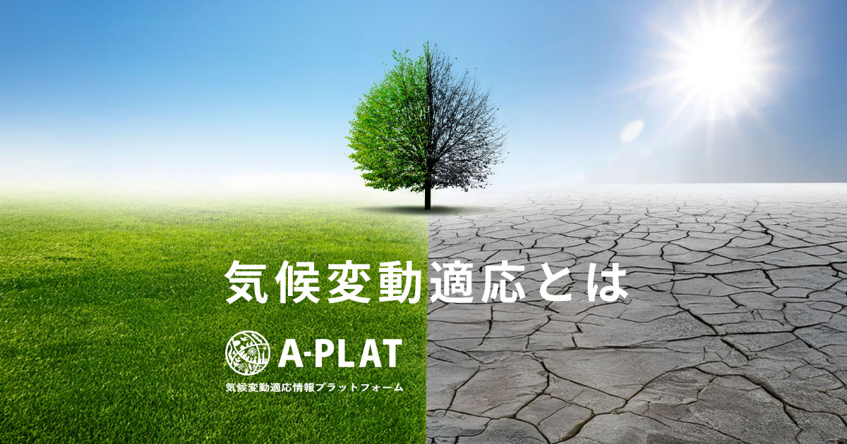 IPCC第6次評価報告書 ｜ 気候変動と適応 ｜ 気候変動適応情報プラットフォーム（A-PLAT）