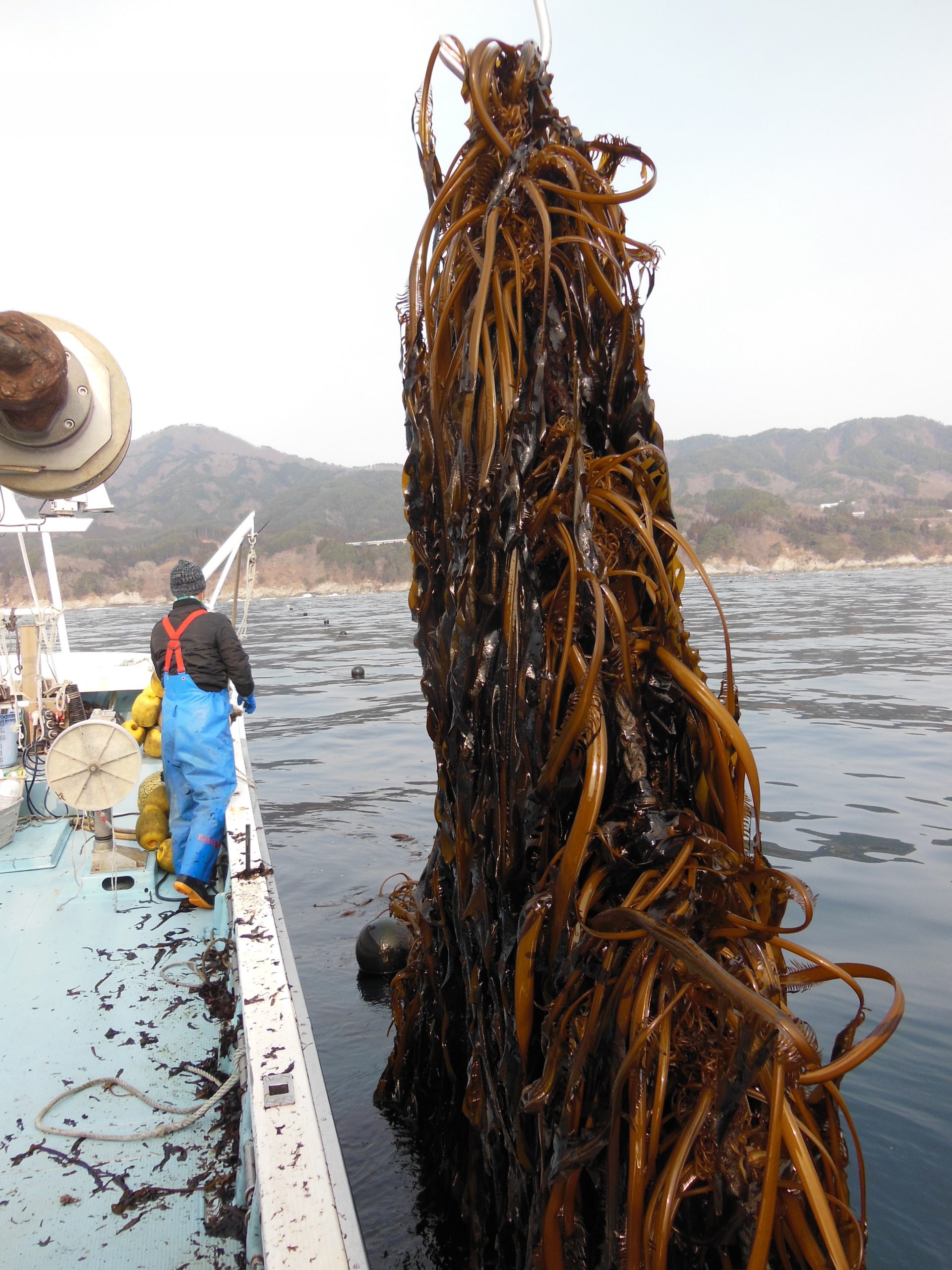 【Sub-theme 2(4)】Projection of Climate Change Impacts and Evaluation of ...